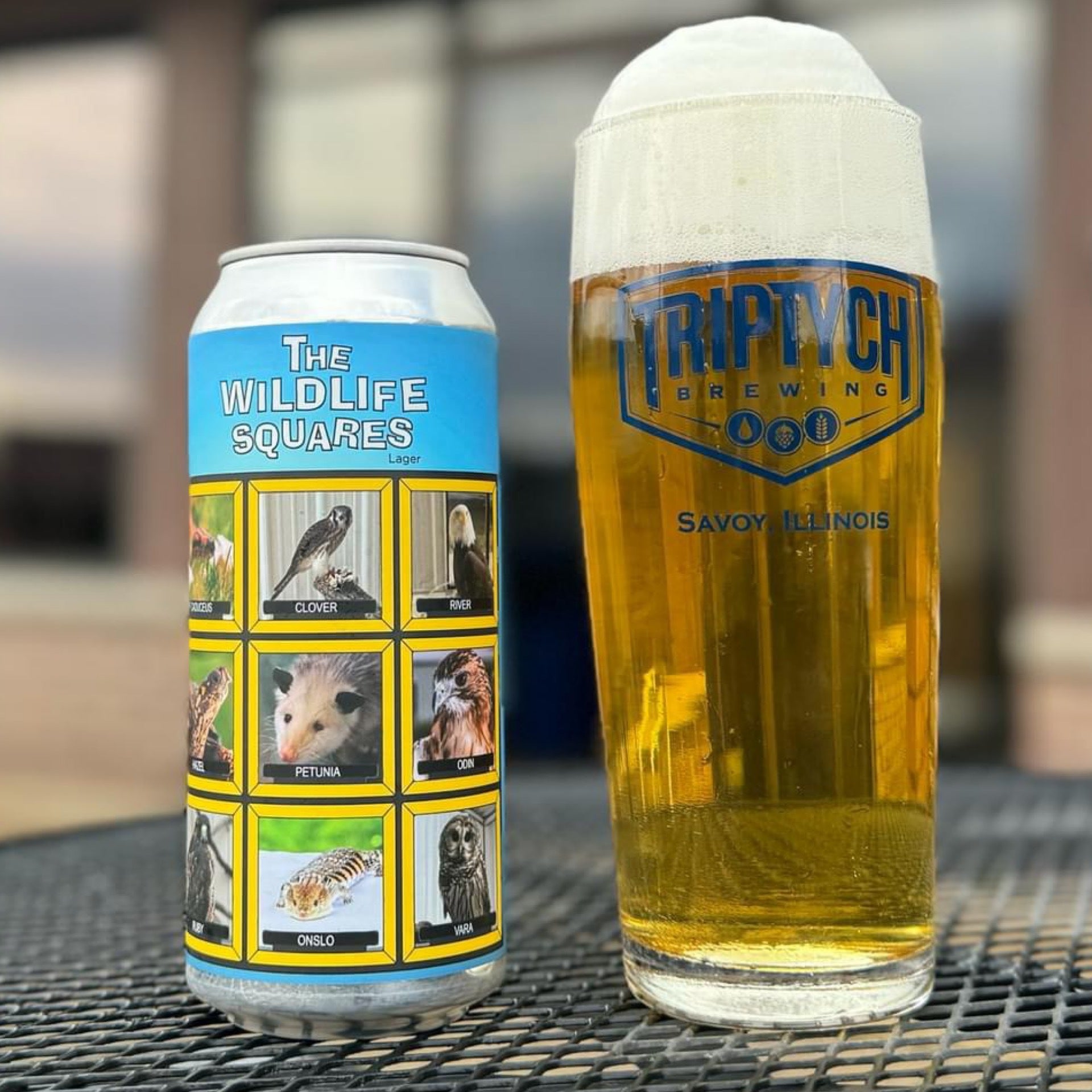 Beer | Triptych Brewing's Online Store