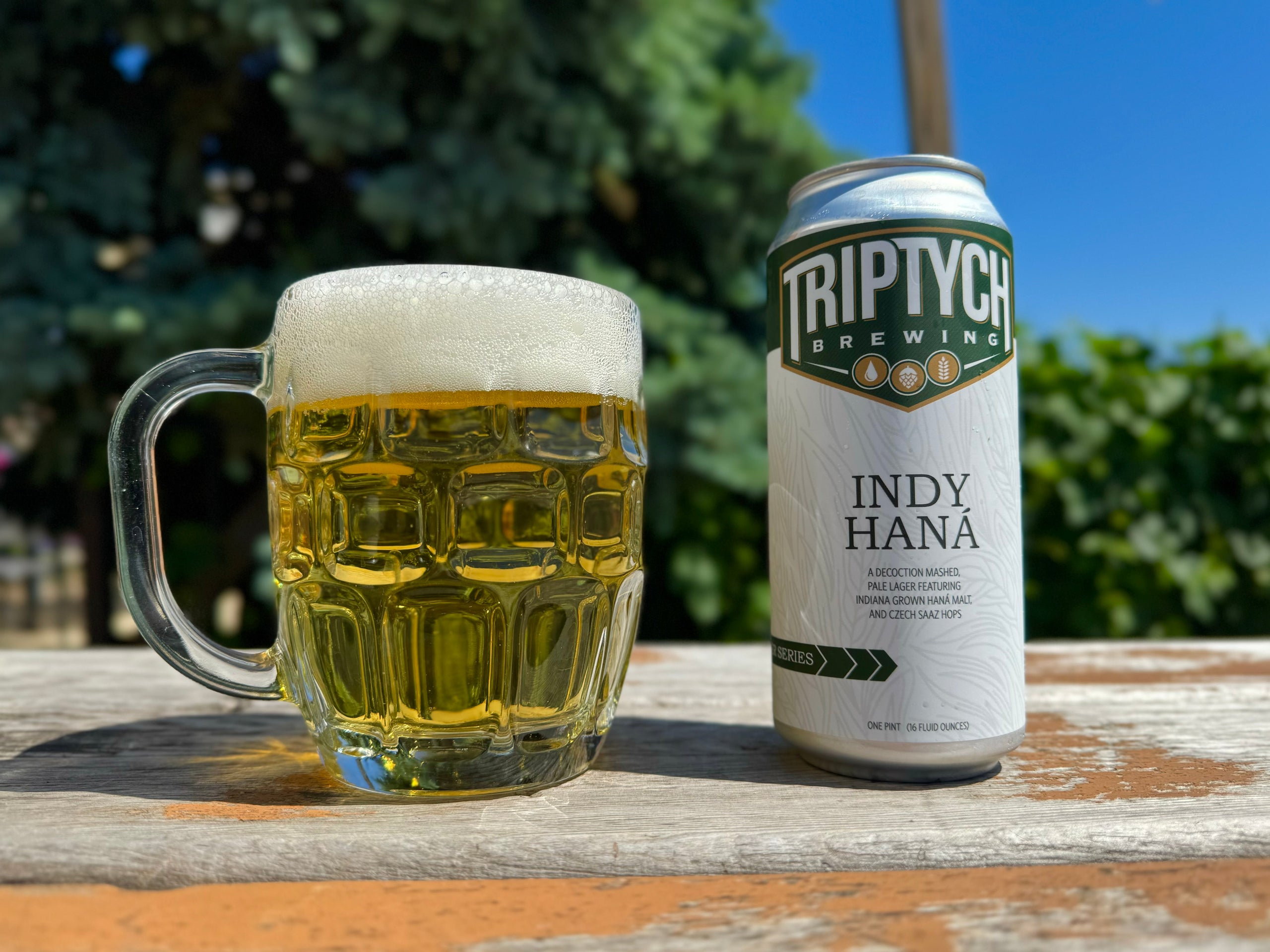 Beer | Triptych Brewing's Online Store