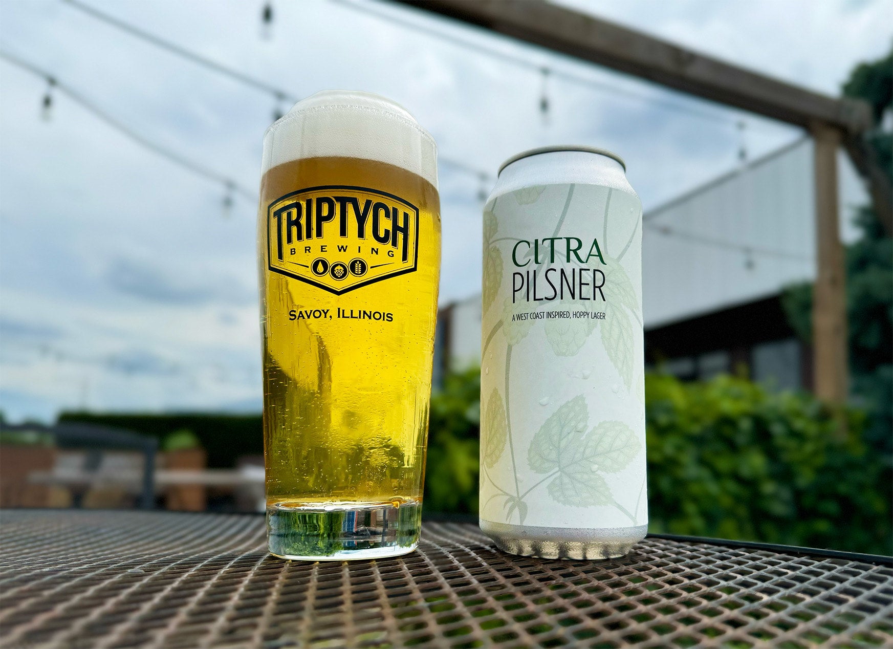 Beer | Triptych Brewing's Online Store